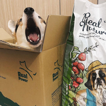 Real Power Functional Pet Food. Real Food! Real Power! – RealPower ...